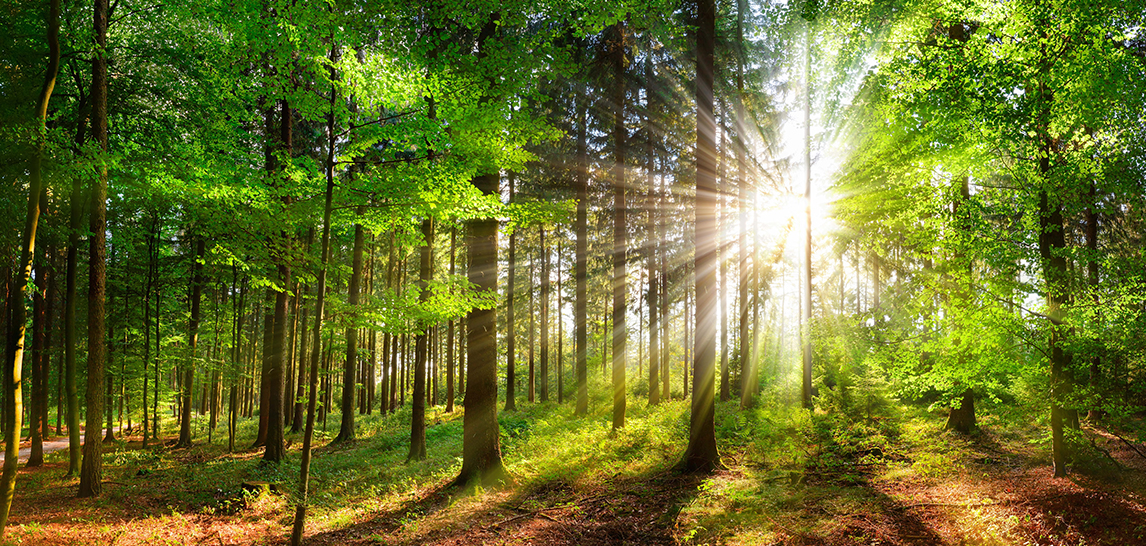 Vignal Group, specialist of lighting and safety for industrial and ...